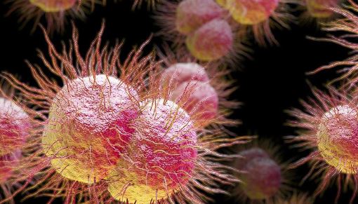 To φιλί μπορεί να μεταδώσει τη στοματοφαρυγγική γονόρροια ...