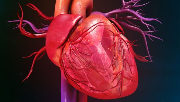 Νόσος στελέχους της αριστερής στεφανιαίας αρτηρίας και αντιμετώπιση ...