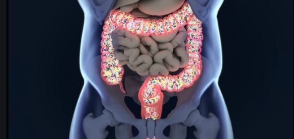 Η ενδοτοξαιμία λόγω λιποπολυσακχαριτών σχετίζεται με τη θρόμβωση ...